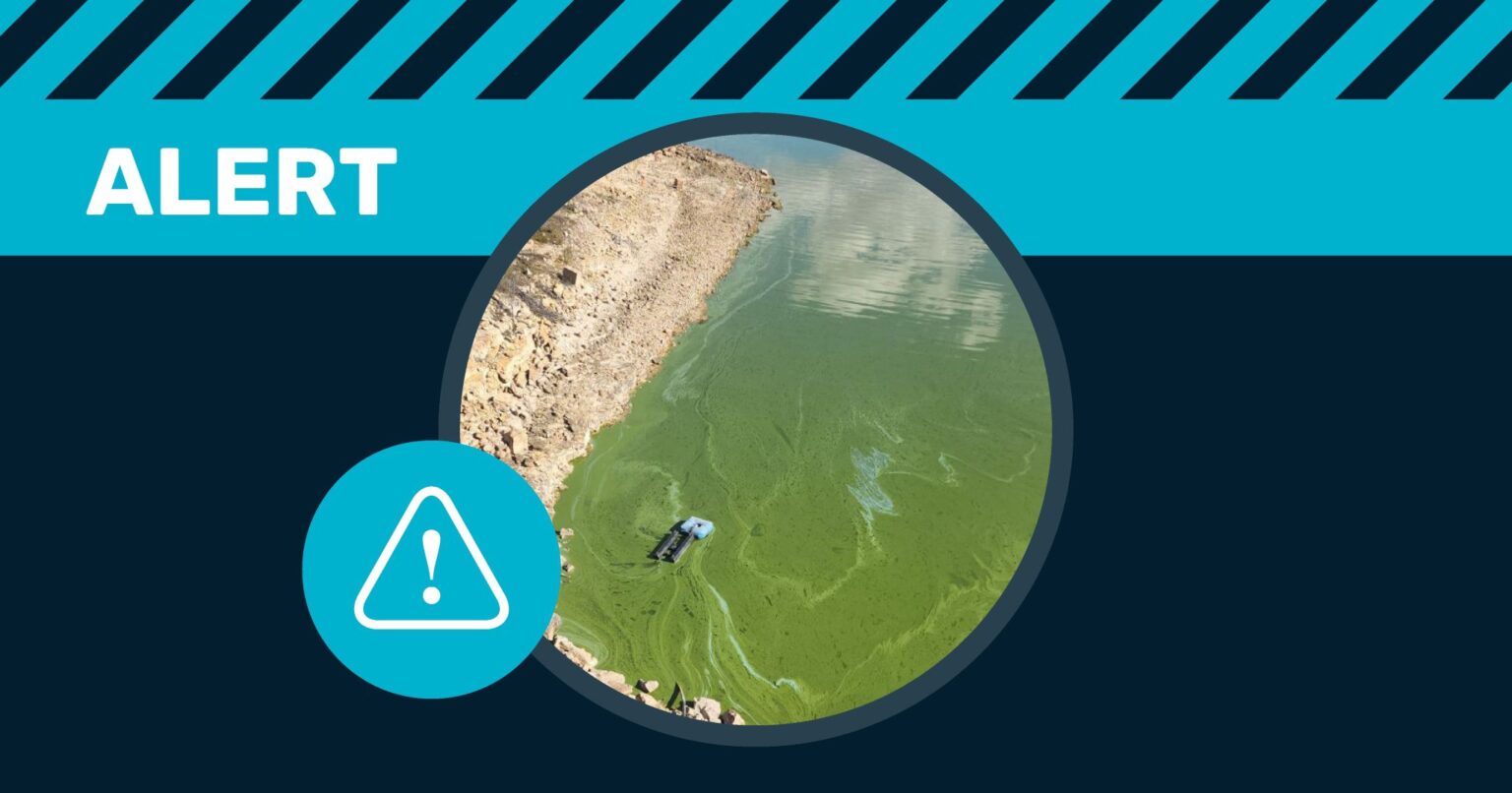 Cania Dam | Blue-green algae alert – Sunwater